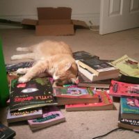 About Susan | Susan Graham